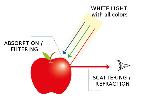 Colors and Harmony - To really Understanding the Fundamentals (Fine ...
