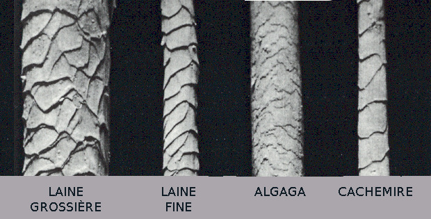 Why is wool itchy? ... or not - Polina Couture